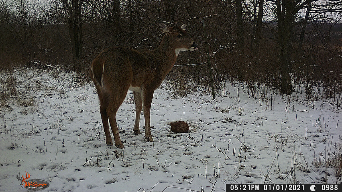 Spark 2.0 Combo Lightsout™ - Wildgame Innovations