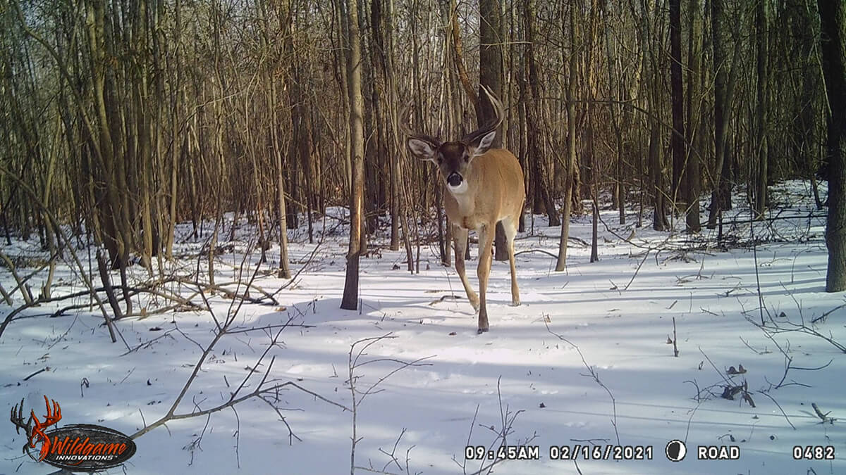 Spark 2.0 Combo Lightsout™ - Wildgame Innovations