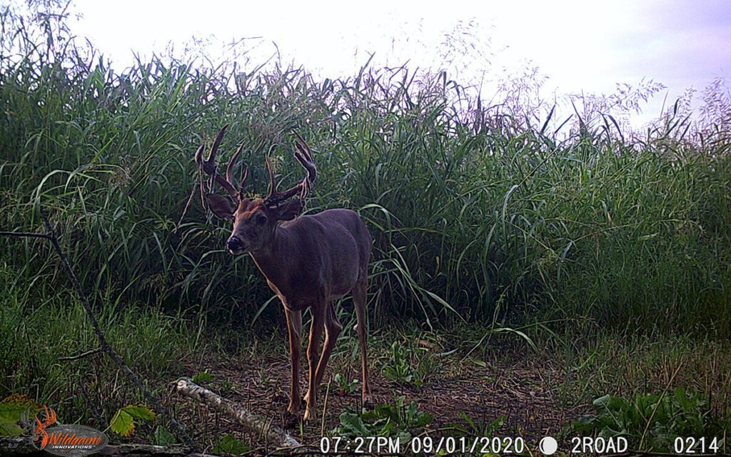 Spark 2.0 Combo Lightsout™ - Wildgame Innovations