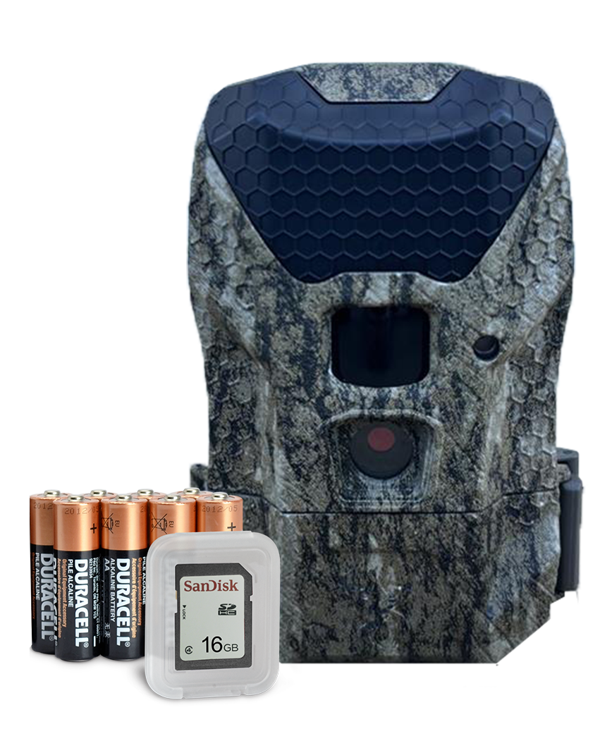 Wild game camera store