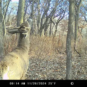 Terra XT 2.0 - Wildgame Innovations