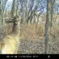 Terra XT 2.0 - Wildgame Innovations