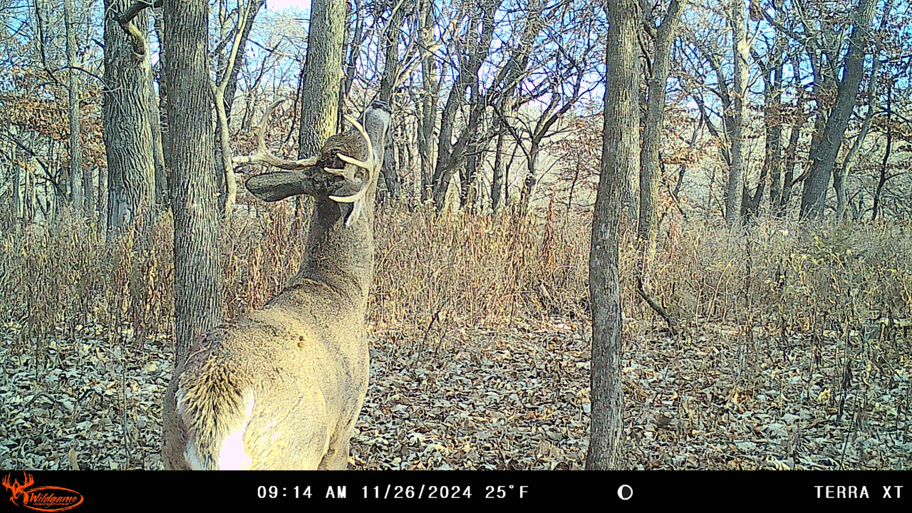 Terra XT 2.0 | Wildgame Innovations