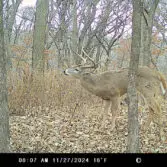 Terra XT 2.0 - Wildgame Innovations