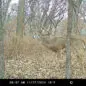 Terra XT 2.0 - Wildgame Innovations