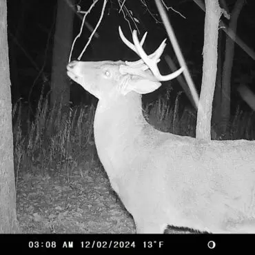 Terra XT 2.0 - Wildgame Innovations