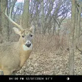 Terra XT 2.0 - Wildgame Innovations