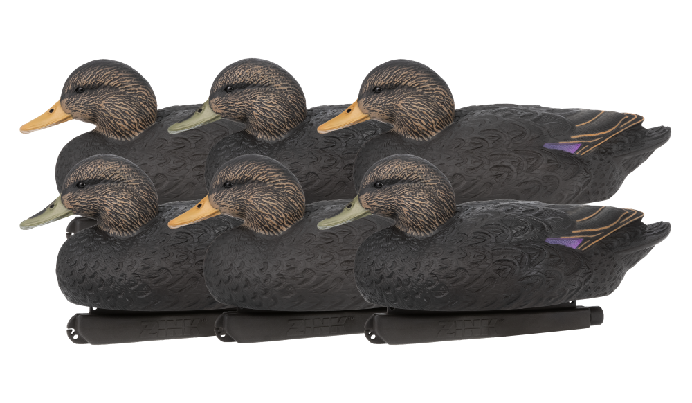BLACK DUCK FLOATER DECOYS - Wildgame Innovations